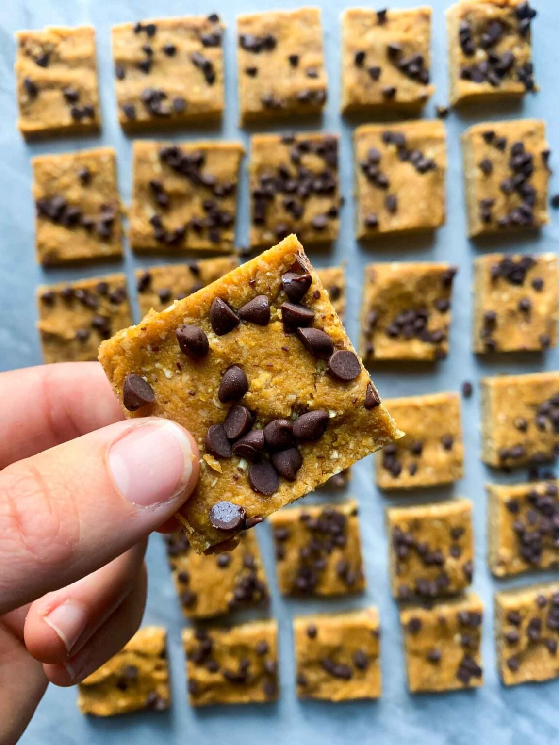 Pumpkin Protein Bars - Healthy Recipes - Jordo's World