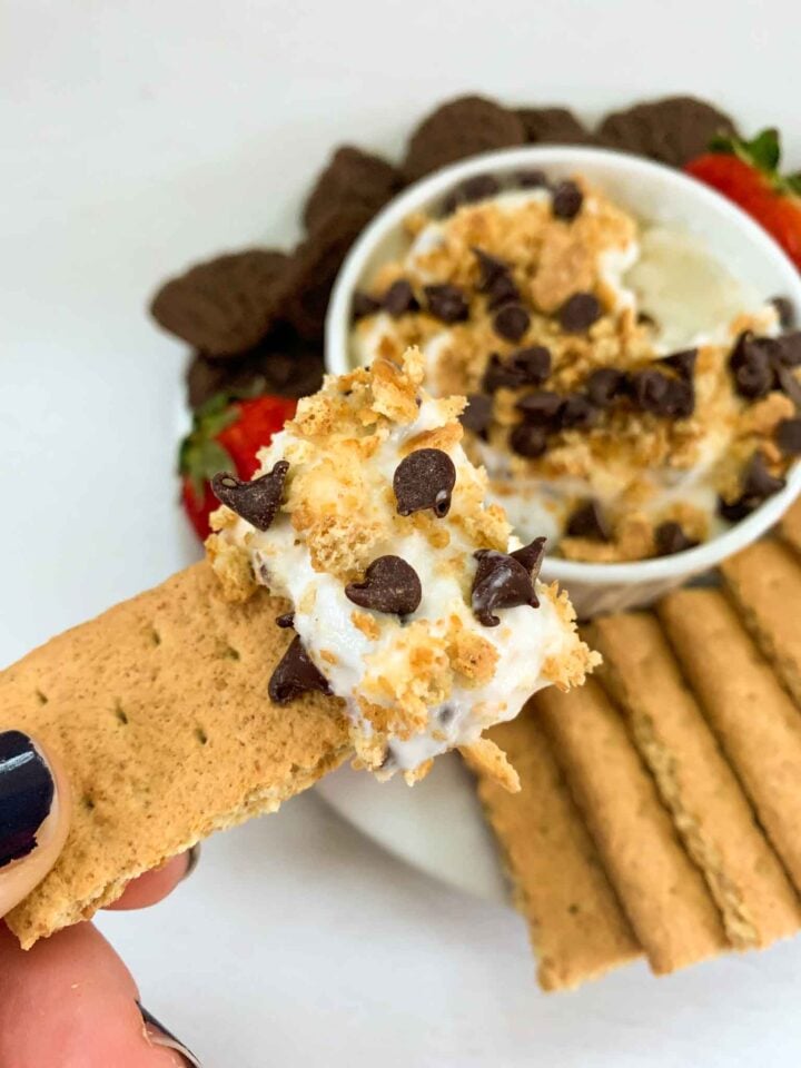 S'mores Dip - Jordo's World