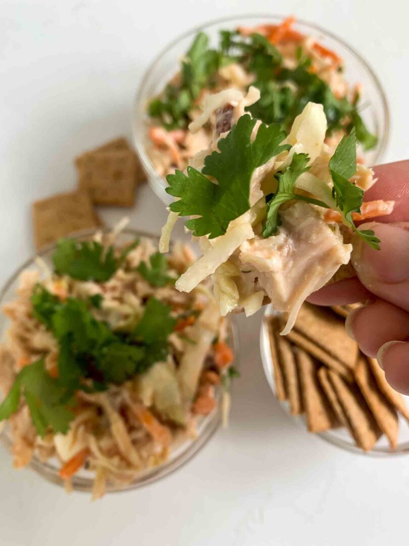 Sesame Chicken Salad - Jordo's World