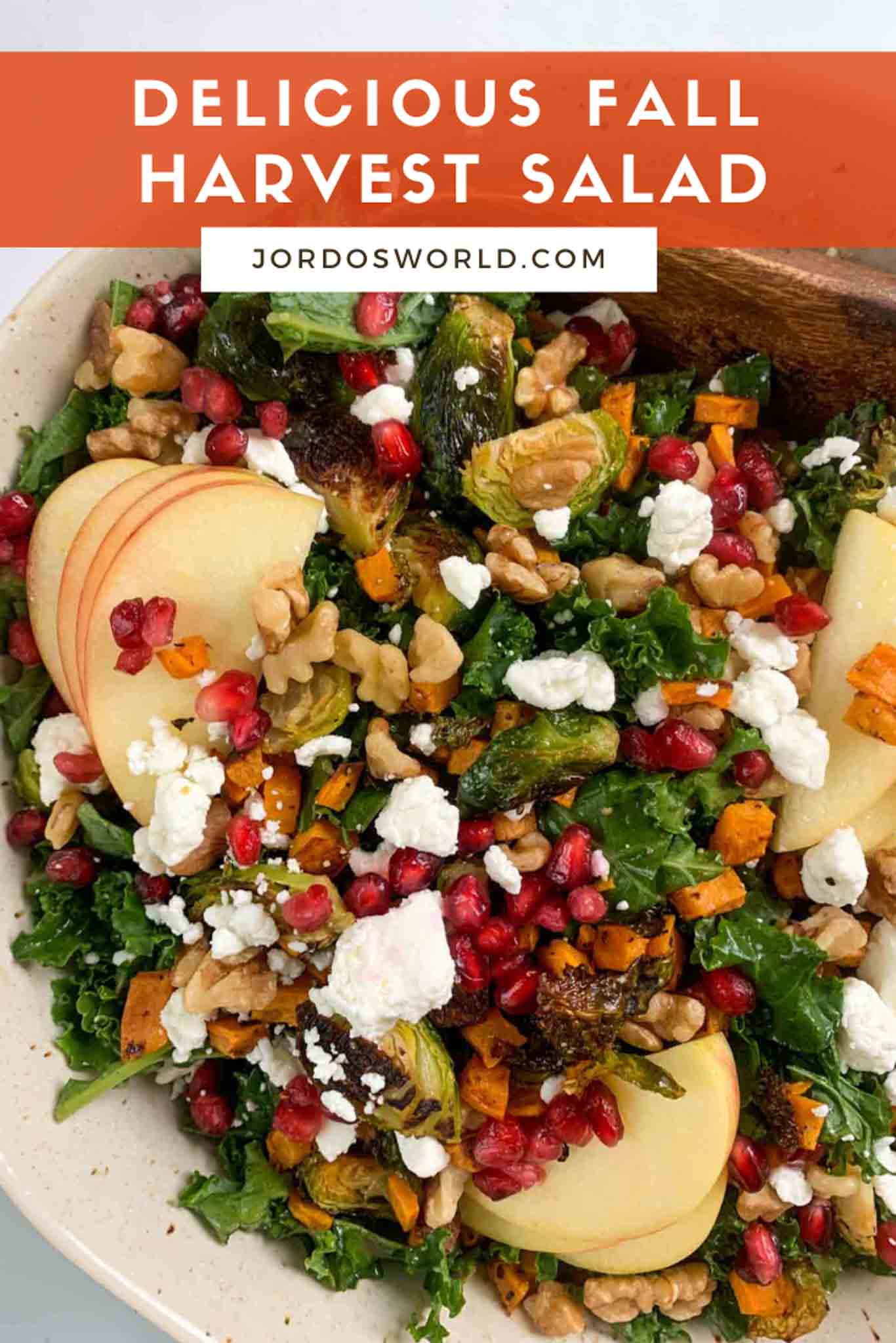 Fall Harvest Salad - Jordo's World