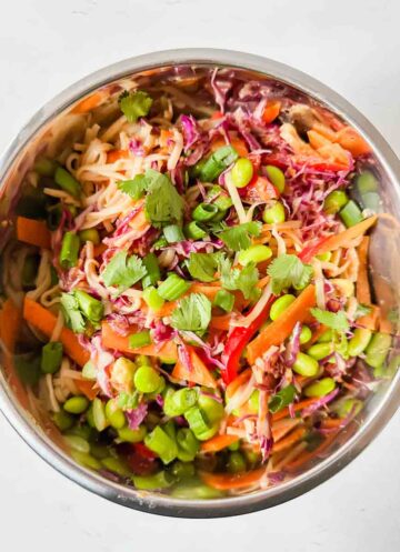 Rainbow Peanut Noodle Salad - Jordo's World
