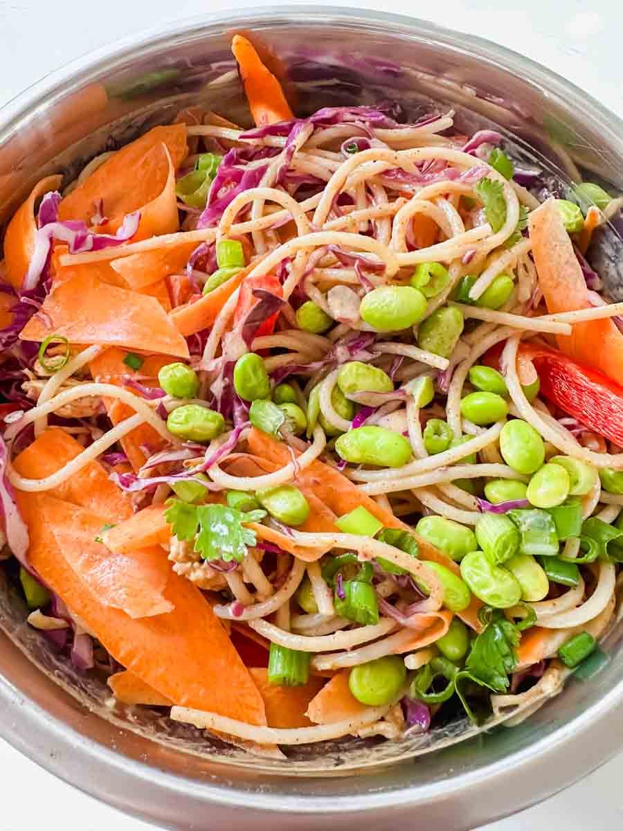 Rainbow Peanut Noodle Salad with Chicken - Jordo's World