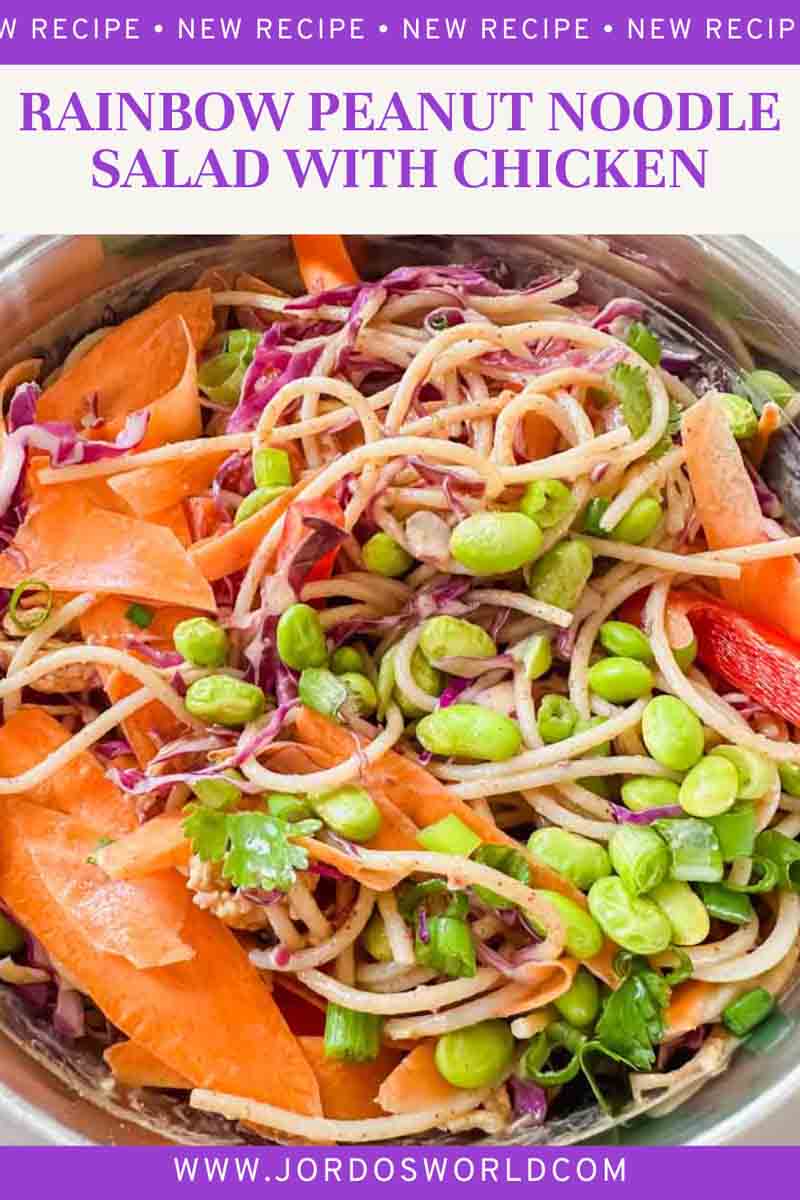 Rainbow Peanut Noodle Salad with Chicken - Jordo's World